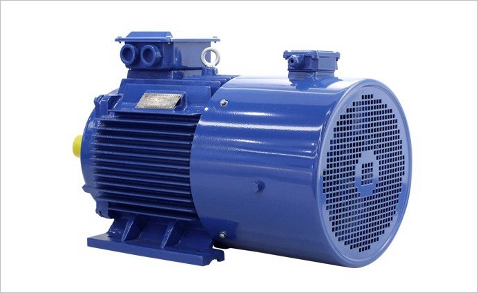 Variable Speed Permanent Magnet Synchronous Motor