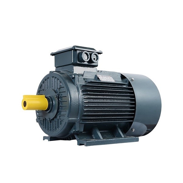 AC Permanent Magnet Electric Motor